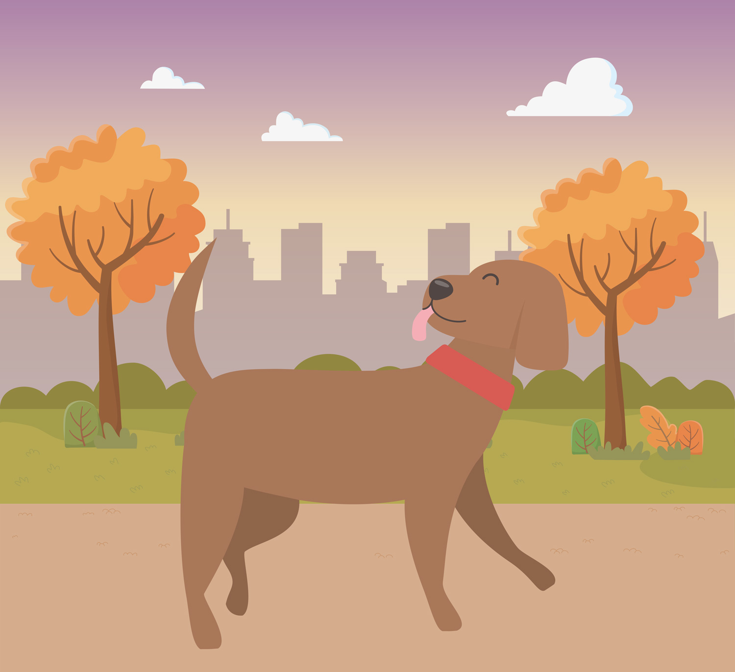 Mente Tranquila. Episodio 6. Caminando con Sam, el perro