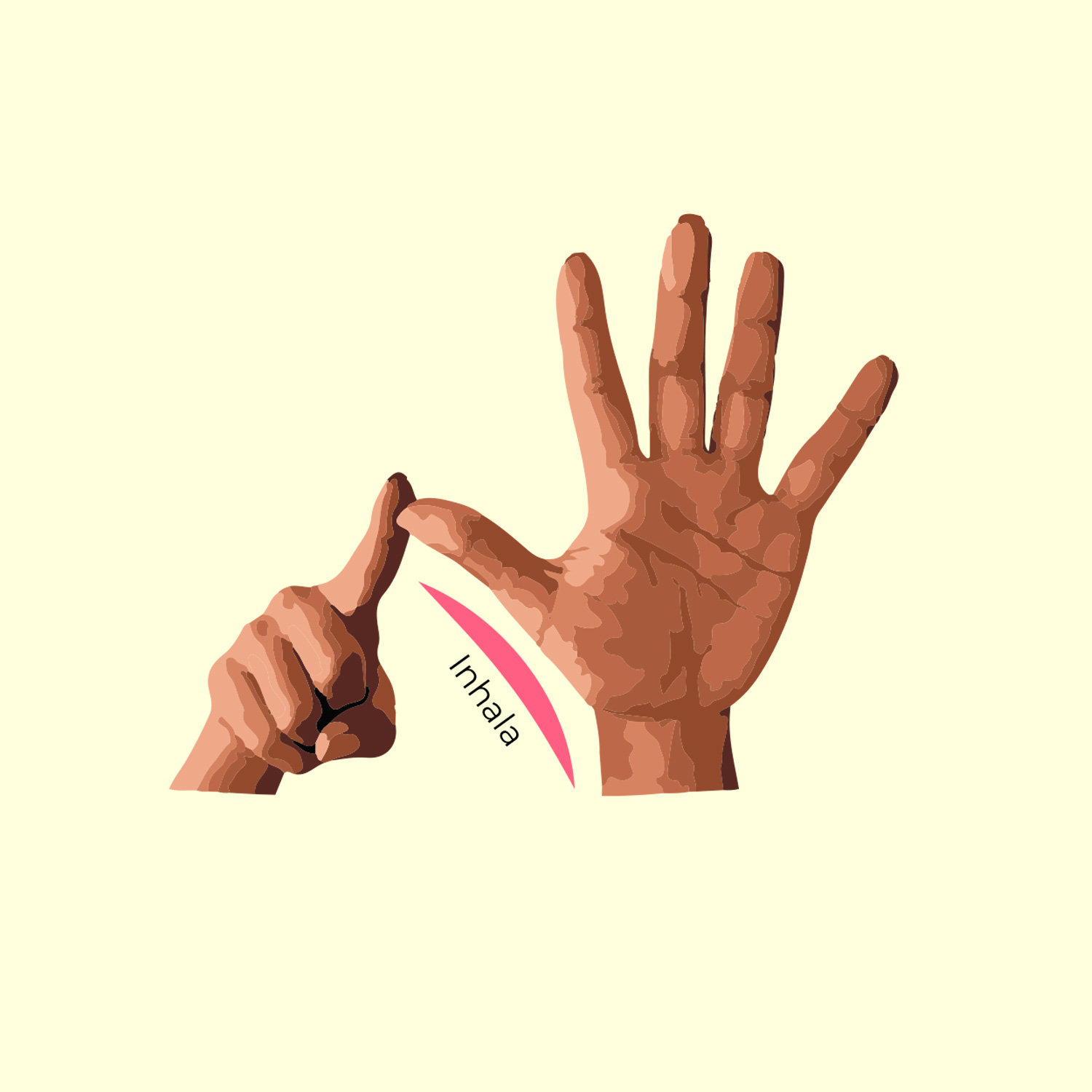 Guía de orientación - Juegos de respiración: La estrella de mar