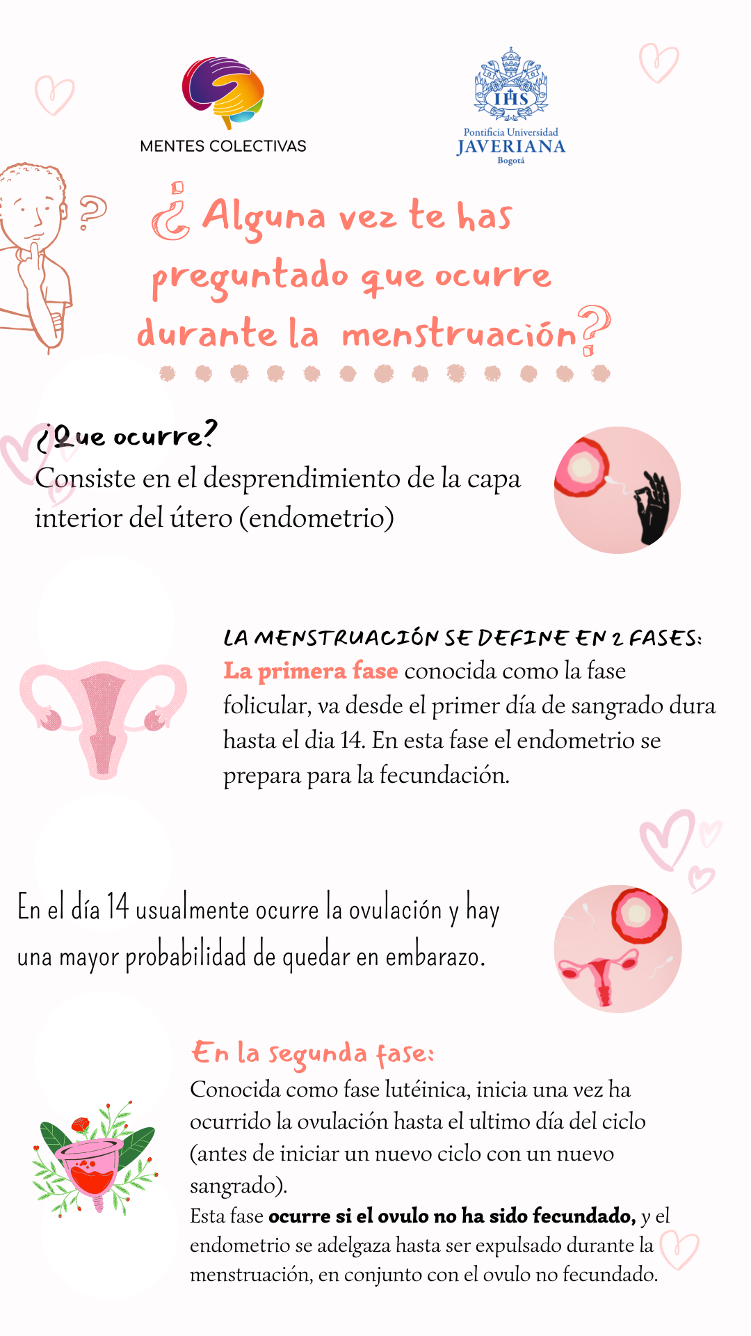 ¿Qué es la menstruación? - APS - Punto de Apoyo