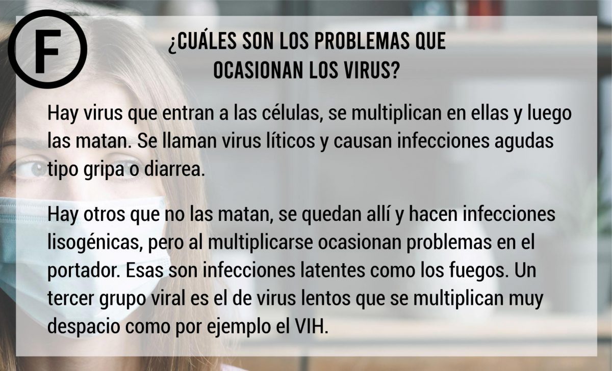El abecé de los virus | Revista Pesquisa Javeriana