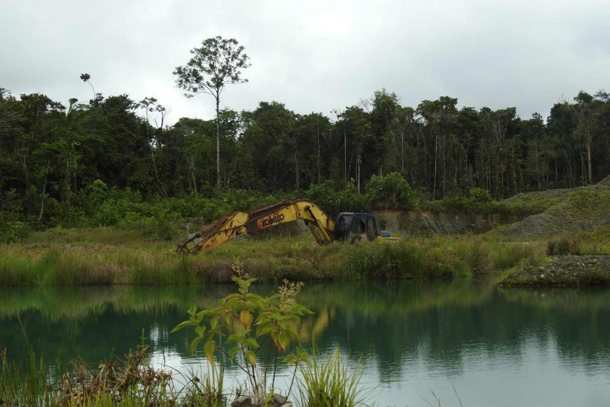 Turismo científico y de naturaleza en Salero, Chocó | Revista Pesquisa ...
