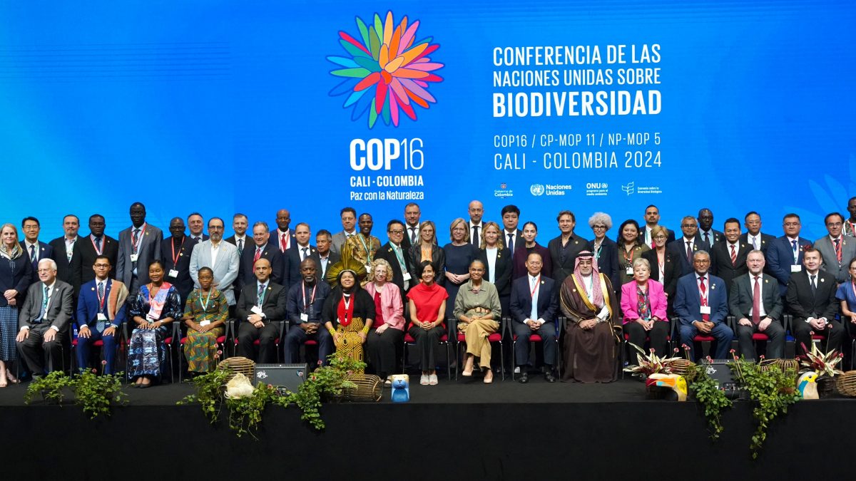 COP16: Una negociación espinosa, con avances limitados