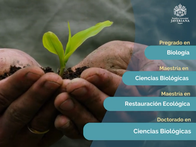 Doctorado en Ciencias Biológicas | U Javeriana